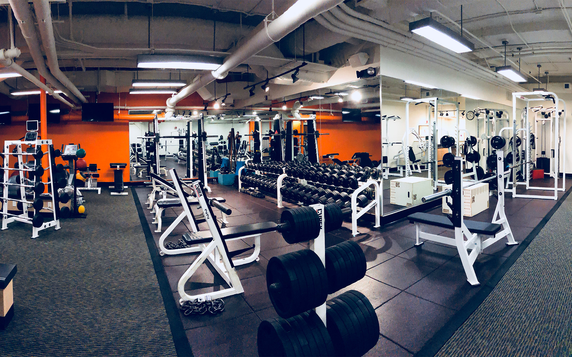 Luxury Fitness Center in Downtown Orlando | Citrus Club
